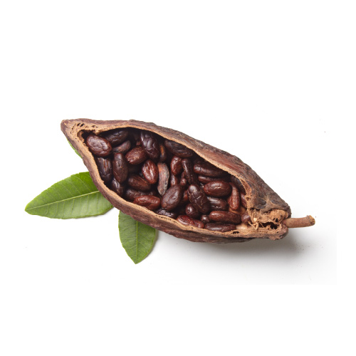 About FlavaNaturals High Flavanol Dark Chocolate | FlavaNaturals